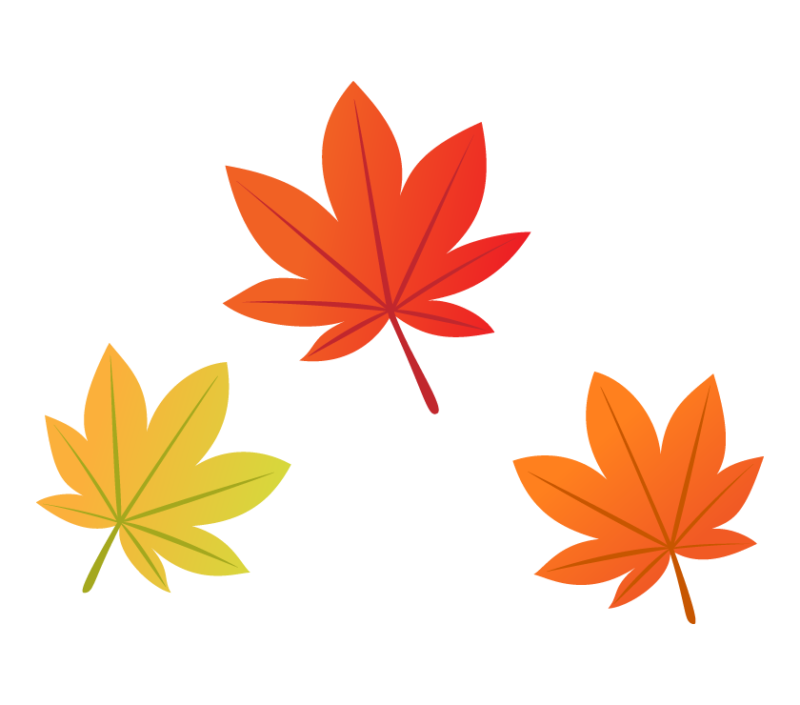 3枚のもみじの葉のイラスト | フリー素材 イラストミント